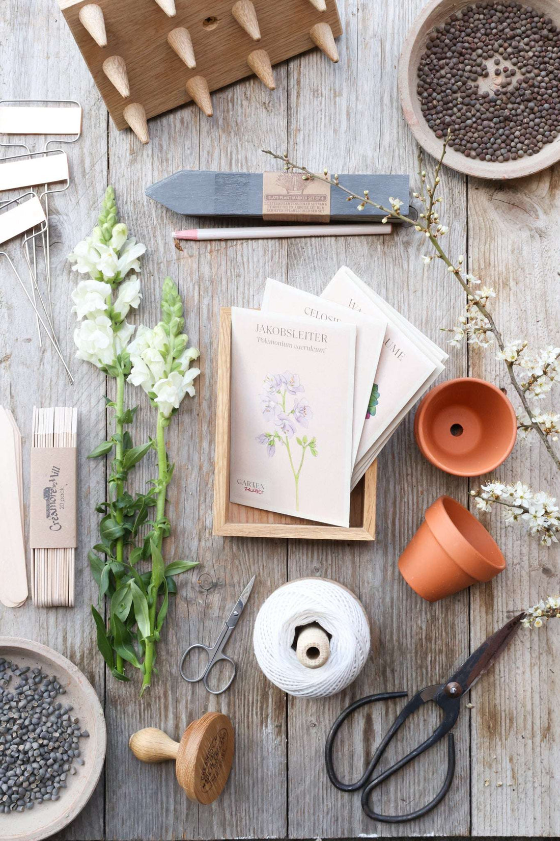 Rose hips – fruits of roses | Gartenzauber