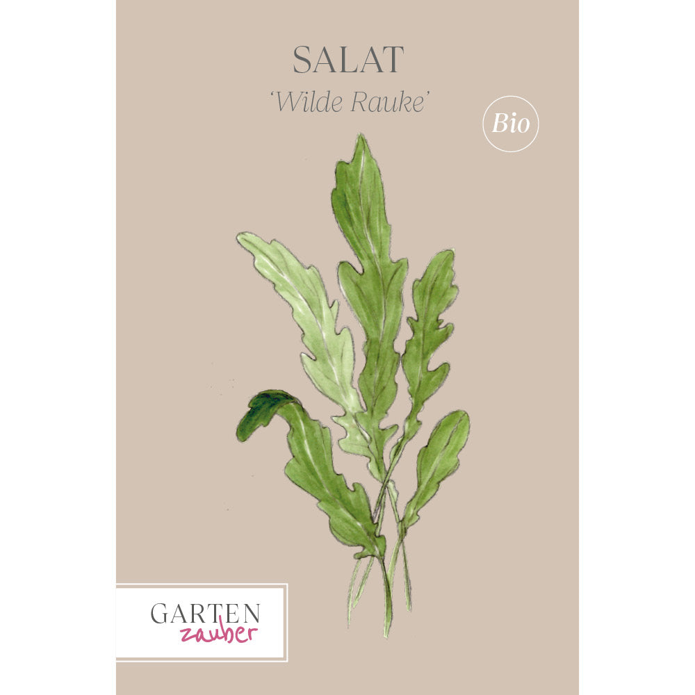 Buy lettuce 'Wild Rocket' | Gartenzauber